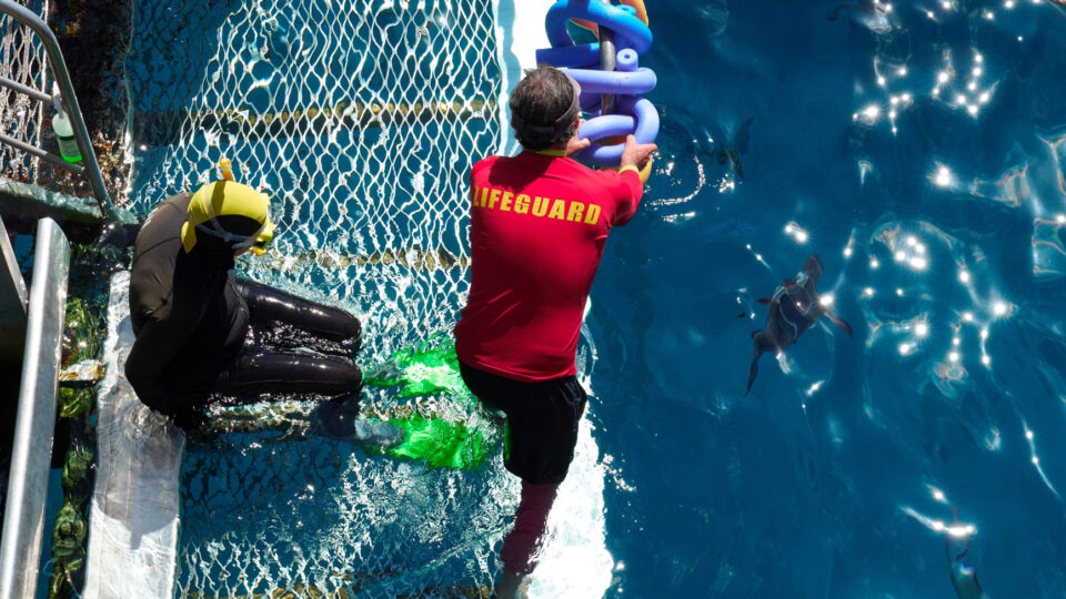 Holiday Rep job description | Totaljobs