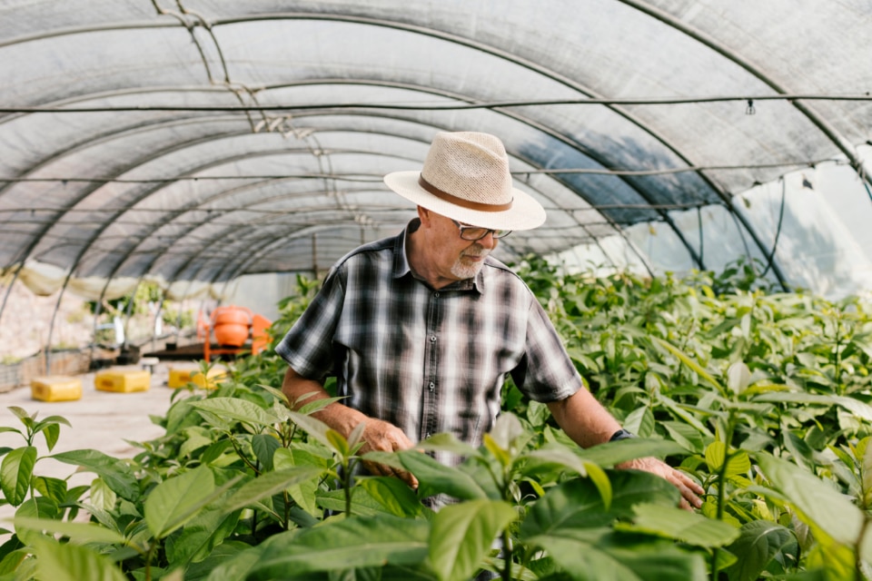 What is 'Gardening Leave'? | Totaljobs