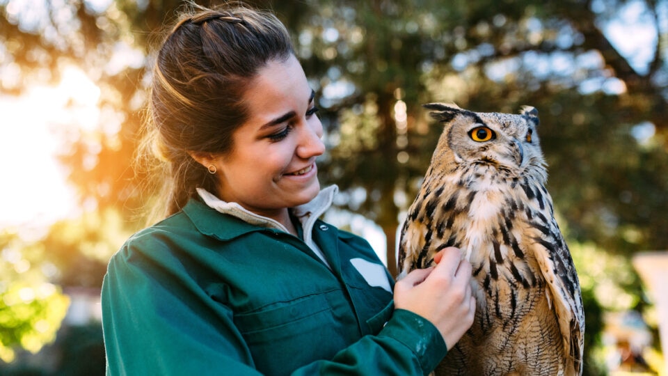 Exploring Careers with a Zoology Degree: Opportunities, Roles, and Salaries in the UK | Totaljobs