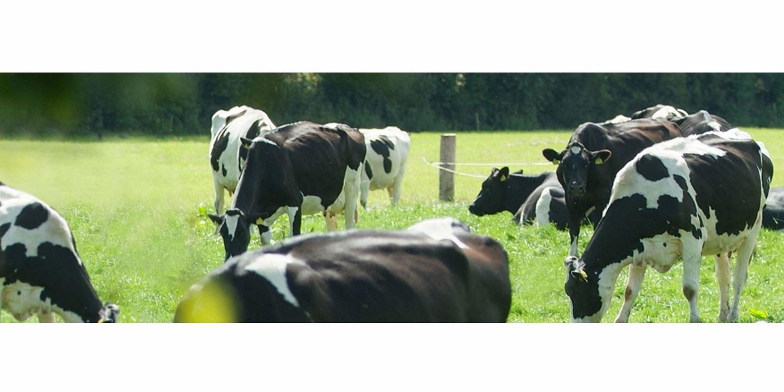 Facilities Maintenance Technician in Sydney, Crewe (CW1), CW1 6FU ...