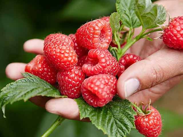 Logistics Administrator in Reason Hill, Maidstone (ME17), ME17 4BA ...